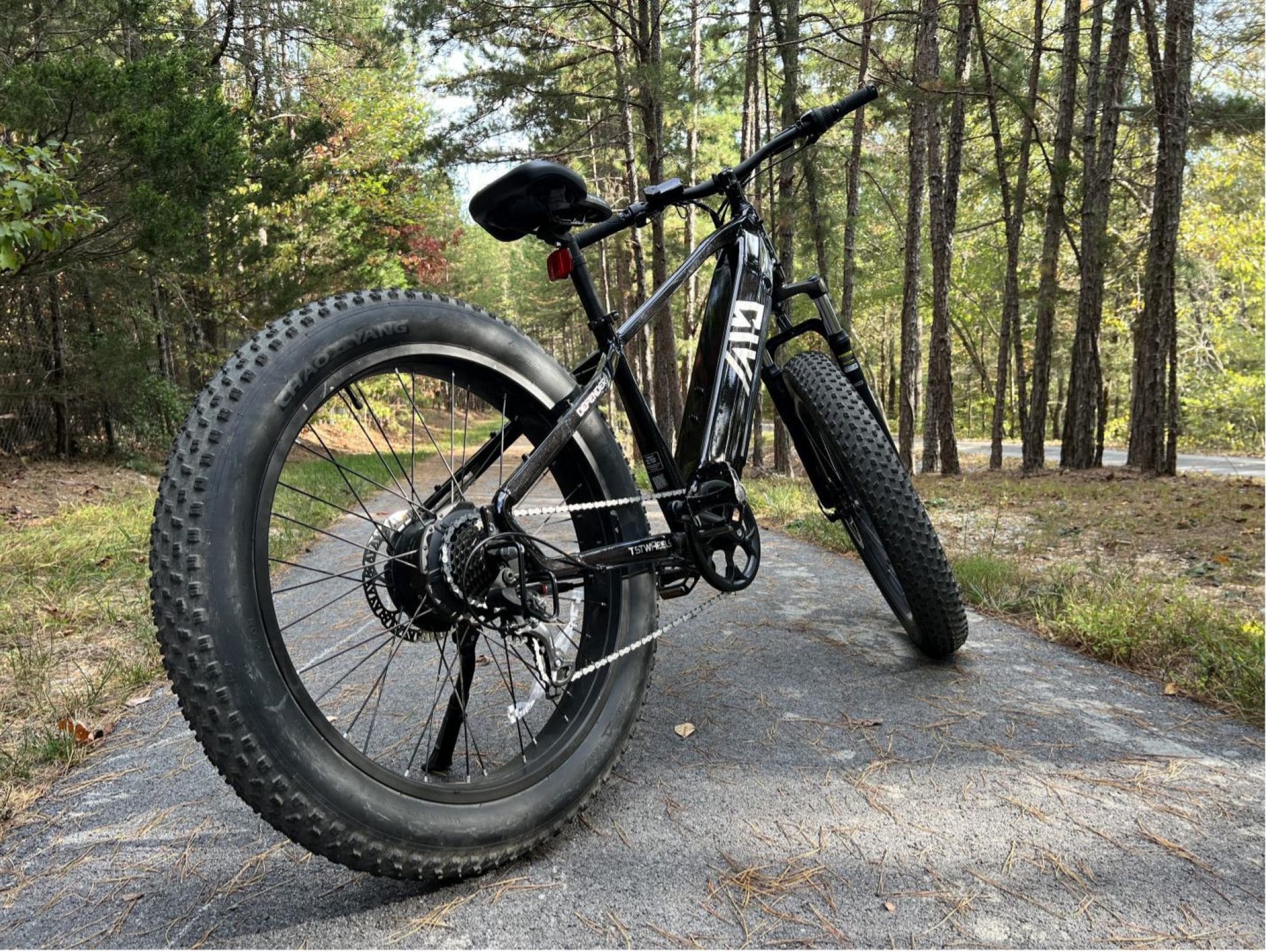 TST Defender Electric Bike Review June 2026
